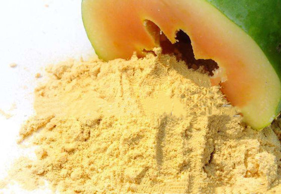 Nature ingredients Papaya Fruit Juice Powder Carica Papaya L  Health Care Products