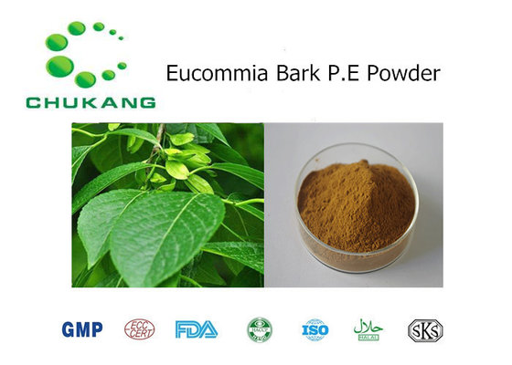 Plant Eucommia bark Extract Herbal Ingredients CAS 327 97 9