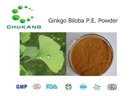 Ginkgo Biloba Plant Extract Powder, Ginkgo Flavoglycosides24%, Terpene Lactones6%