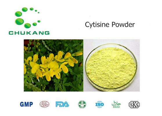 Cytisine Botanical Powder Effects With Anti Arrhythmia Anti Microbial Anti ulcer