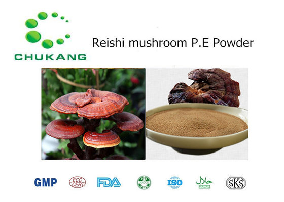 Reishi Mushroom Plant Extract Powder Polysaccharide 10%  25% Herbal Ingredients