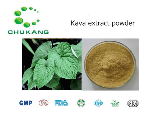 Kava extract powder Kavalactones Plant Extract Powder Light Yellow  Powder