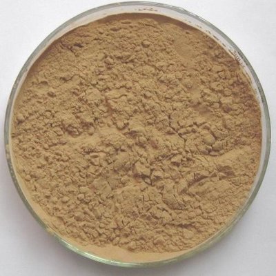 Magnolia Extract Magnolol, Honokiol Magnolol Plant Extract Powder