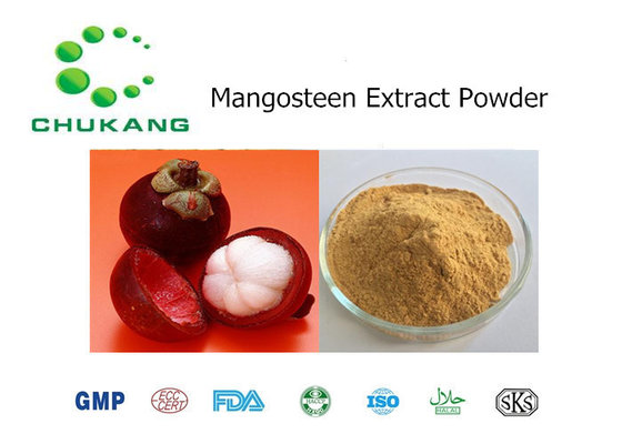 Mangosteen Extract Polyphenols Plant Extract Powder Garcinia mangostana L.
