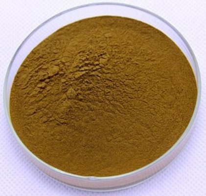 Feverfew Extract Parthenolide Plant Extract Powder Chryanthemum Parthenium