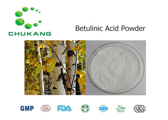 Pharmaceutical Grade Birch Extract CAS 472 15 1 High Purity Powder