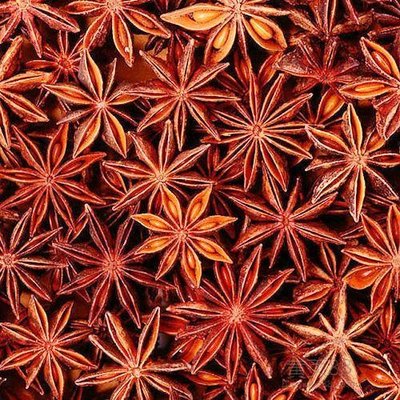 Food Ingredients Shikimic Acid CAS 138 59 0 Herbal Extract