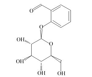 Pure Nature Plant Extract Helicidum Extract  Buchanania latifolia CAS 80154 34 3