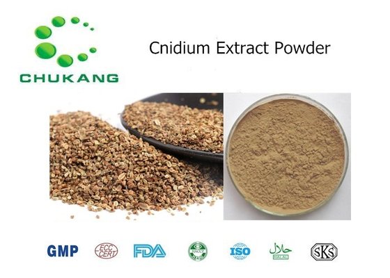 Cnidium Extract Herbal Extract Cnidium monnieri（L.）Cuss.