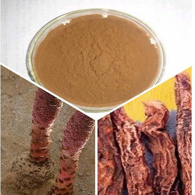 Cistanches Extract Powdered Herbal Extracts Water Soluble Components