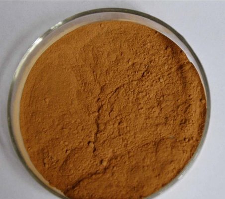 Lotus Leaf Extract Nuciferine Plant Extract Powder Nelumbo nucifera Gaertn 
