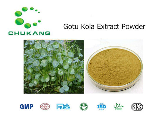 Gotu Kola Extract Asiaticoside Plant Extract Powder Centella asiatica (L.) Urban