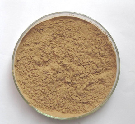 Organic Herbal Fo-Ti Extract Powder Enhance Immune Protect The Liver