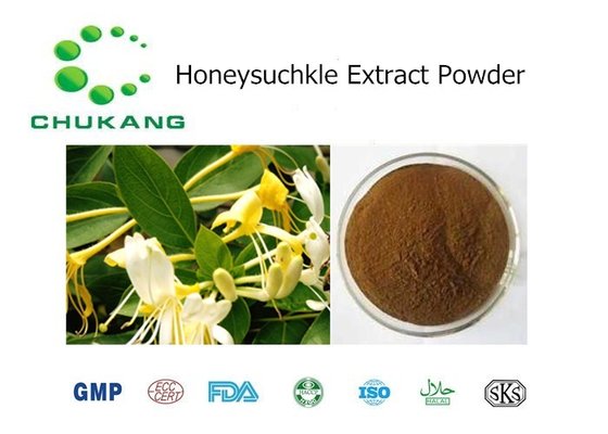 Honeysuchkle Extract Powdered Herbal Extracts Lonicerajaponica