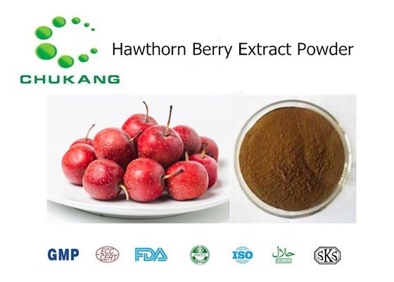 Food Ingredients Hawthorn Berry Extract Crataegus Pinnatifida Bunge