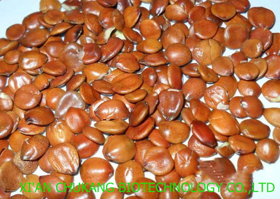 Pure Natural Jujube Seed Extract Powder Sedative And Hypnotic Effect