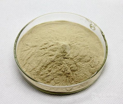 Poria Extract Powdered Herbal Extracts Can Invigorate The Spleen