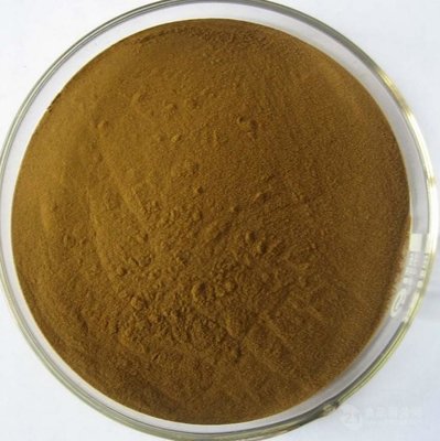 Organic Herbal Powder Reishi Mushroom Extract Ganoderma Lucidum