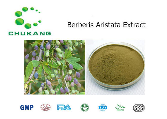 Berberis Aristata Extract Powdered Herbal Extracts Pure Nature Herbal Extract