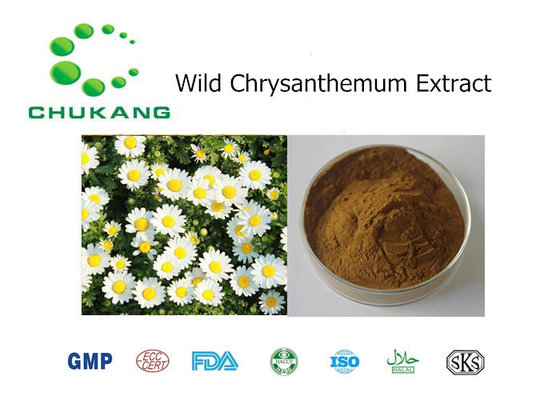 Wild Chrysanthemum Plant Extract Powder Dendranthema indicum 