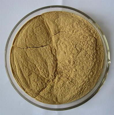 Nature Extract Chinese Gentian Root Extract Gentiana scabra Bge. Pure Powder