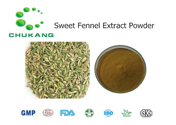 Sweet Fennel Extract herbal Medicines For The Treatment Of Indigestion.