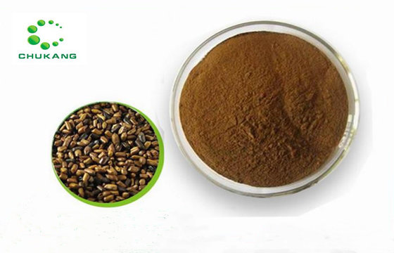 Cassia Seed Extract Powdered Herbal Extracts / Cassia obtusifolia L Herbal Extract