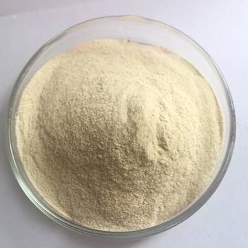 Sesame Plant Extract Powder Cas 607 80 7 Sesamin Sesamum Indicum L. Herb Powder