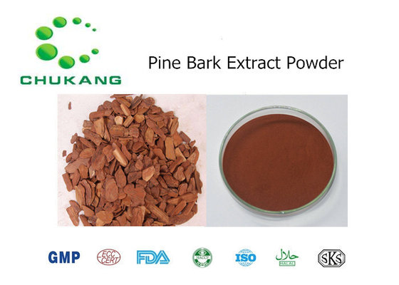 Pine Bark  Plant Extract Powder Proanthocyanidins CAS 20315 25 7