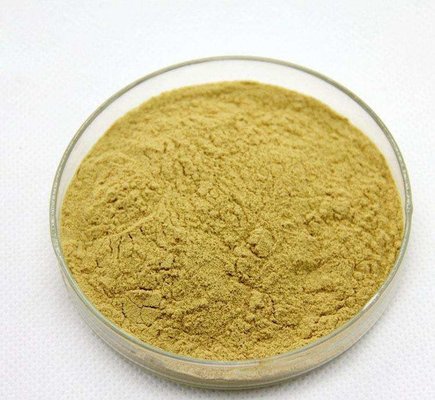 Xanthohumol Humulus Lupulus L. Plant Extract Powder Cas 6754 58 1