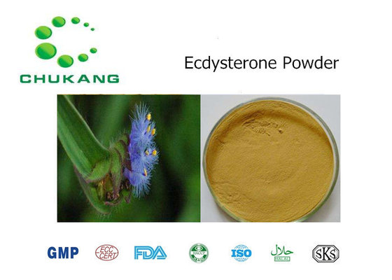 Beta Ecdysterone Plant Extract Powder Cyanotis Arachnoidea CAS 3604 87 3