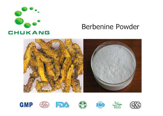 Berbenine Plant Extract Powder Berberis jamesiana Food Ingredients CAS 478 61 5