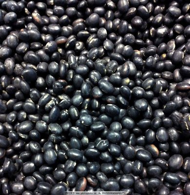 Black Bean Plant Extract Powder Anthocyanin Glycinemax(L.)merr  High Purity Powder