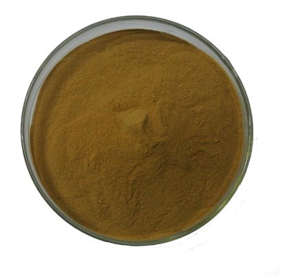 Poria Cocos Plant Extract Powder Polysaccharides Poria Cocos Wolf