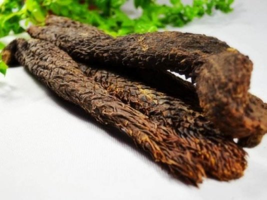 Echinacoside Plant Extract Powder Echinacoside Herba Cistanches  Food Ingredients