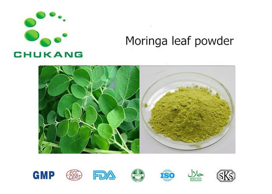 Moringa Leaf Powdered Herbal Extracts Trifolium Pratense L Food Ingredients