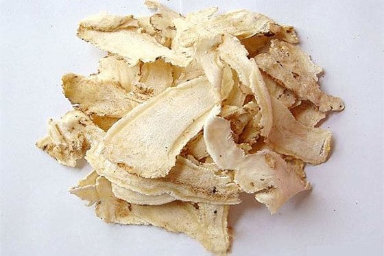 Angelica Powdered Herbal Extracts Radix Angelicae Sinensis Natural Ingredients