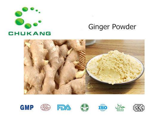 Ginger Powdered Herbal Extract Zingiber Officinale Roscoe Organic Herbal Powder