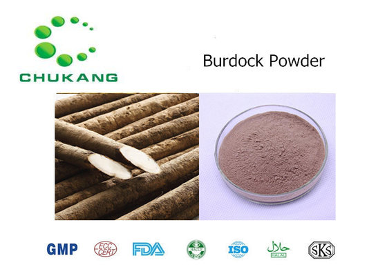 Burdock Powdered Herbal Extracts Arctium Lappa Linn Food Ingredients