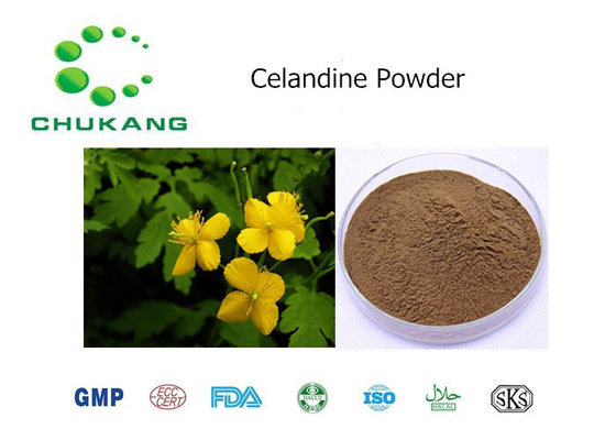 Celandine Powdered Herbal Extract Chelidonium Majus Natural Herb Powder