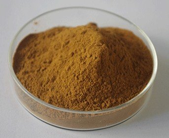 Oat Powdered Herbal Extracts Avena Sativa L Natural Herb Powder