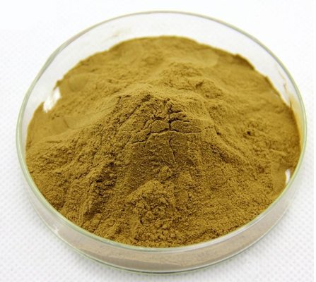 Epimedium Powdered Herbal Extracts Epimedium Brevicornu Maxim Natural Herb Powder