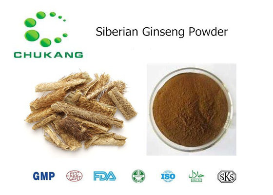 Siberian Ginseng Powdered Herbal Extracts Acanthopanax Senticosus Rupr Maxim Herbal Ingredients