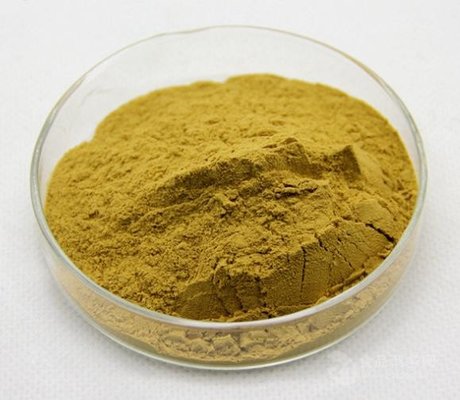 Green Tea Powdered Herbal Extracts Camellia Sinensis Natural Herb Powder
