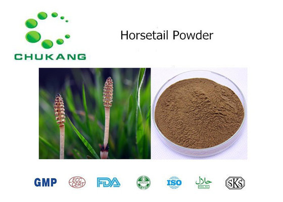 Horsetail Powdered Herbal Extracts Equisetum Arvense L Natural Herb Powder