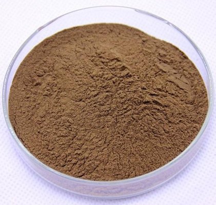 Horsetail Powdered Herbal Extracts Equisetum Arvense L Natural Herb Powder
