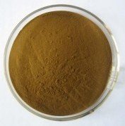 Evolvnlus Alsinoides Powdered Herbal Extracts DingGui Brown Organic Herbal Powder
