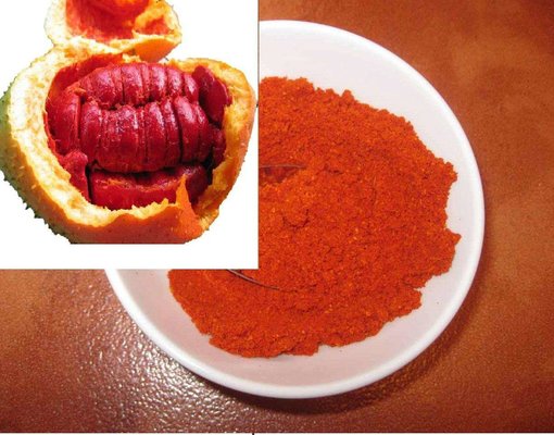 High Purity Powder Black Currant Fruit Powder Ribes nigrum L. Improving Human Immunity