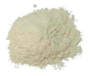 Onion Powdered Herbal Extracts Allium Cepa L Organic Herbal Powder