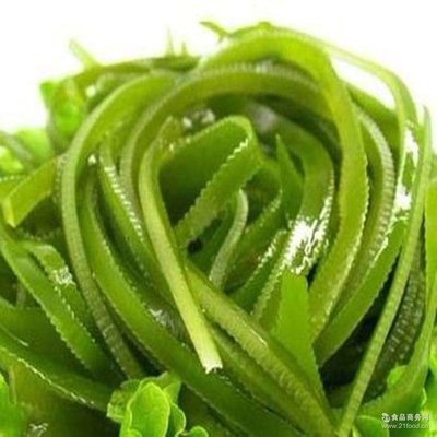 Off White Powder Natural Seaweed Extract Fucoidan Powder Fucoxanthin CAS 3351 86 8